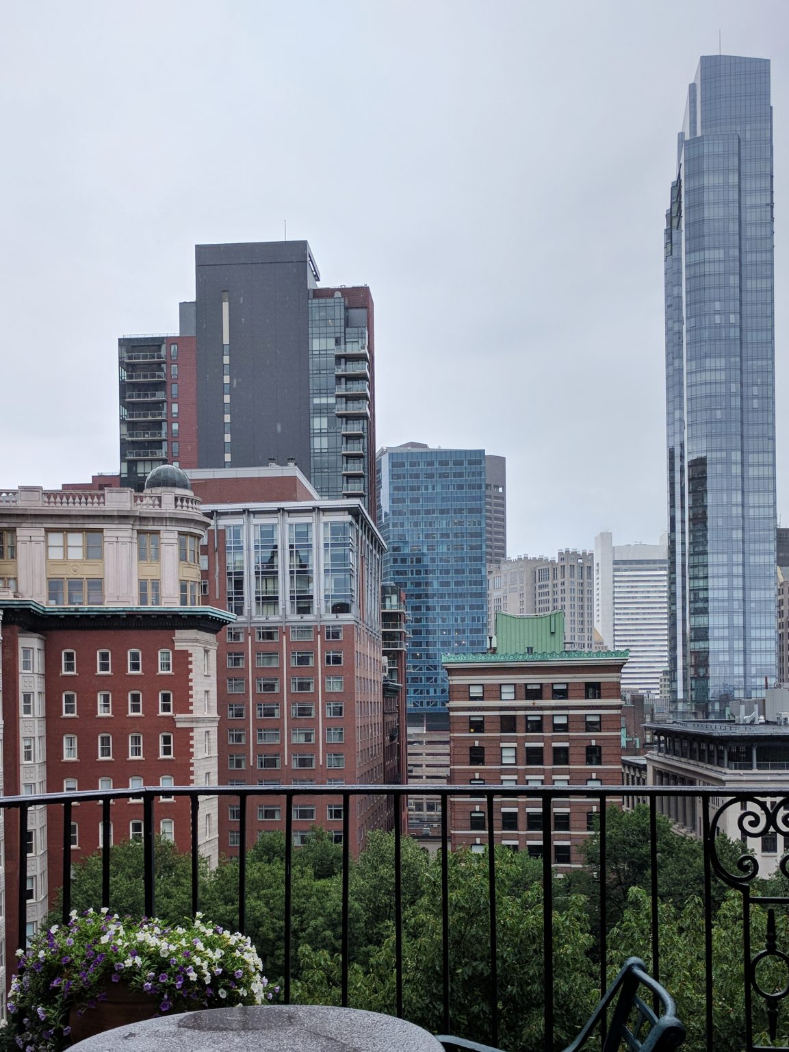 11 Unique Places to View the Boston Skyline—Local’s Guide