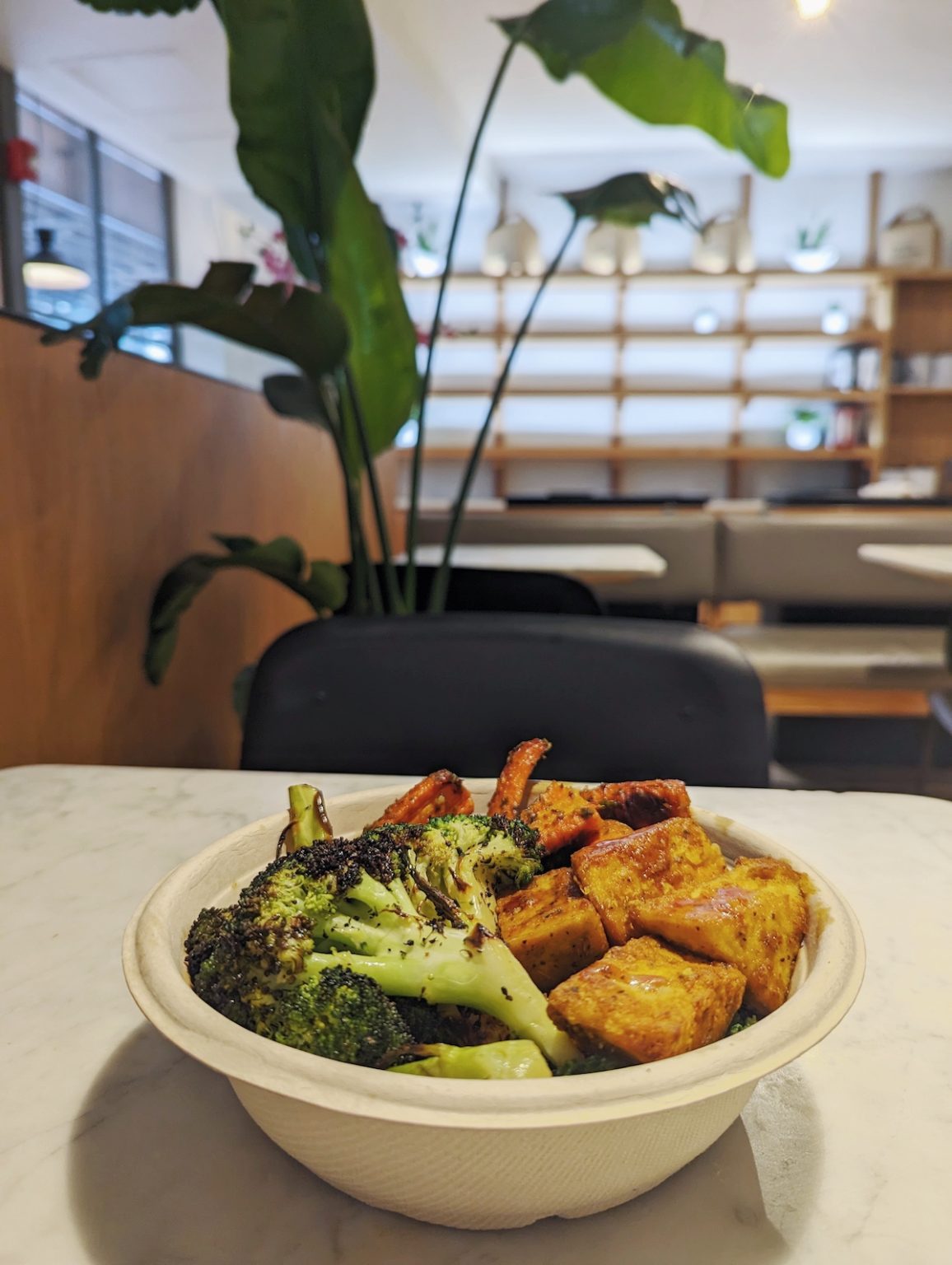 My 12 Favorite Vegan Restaurants in Boston—Local’s Guide